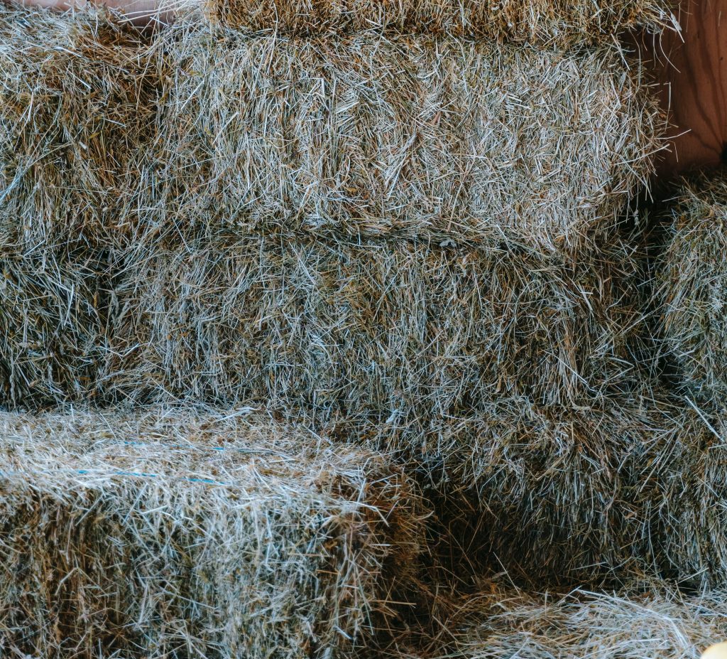 Conventional Hay Bale - Birchalls The Riding Shop
